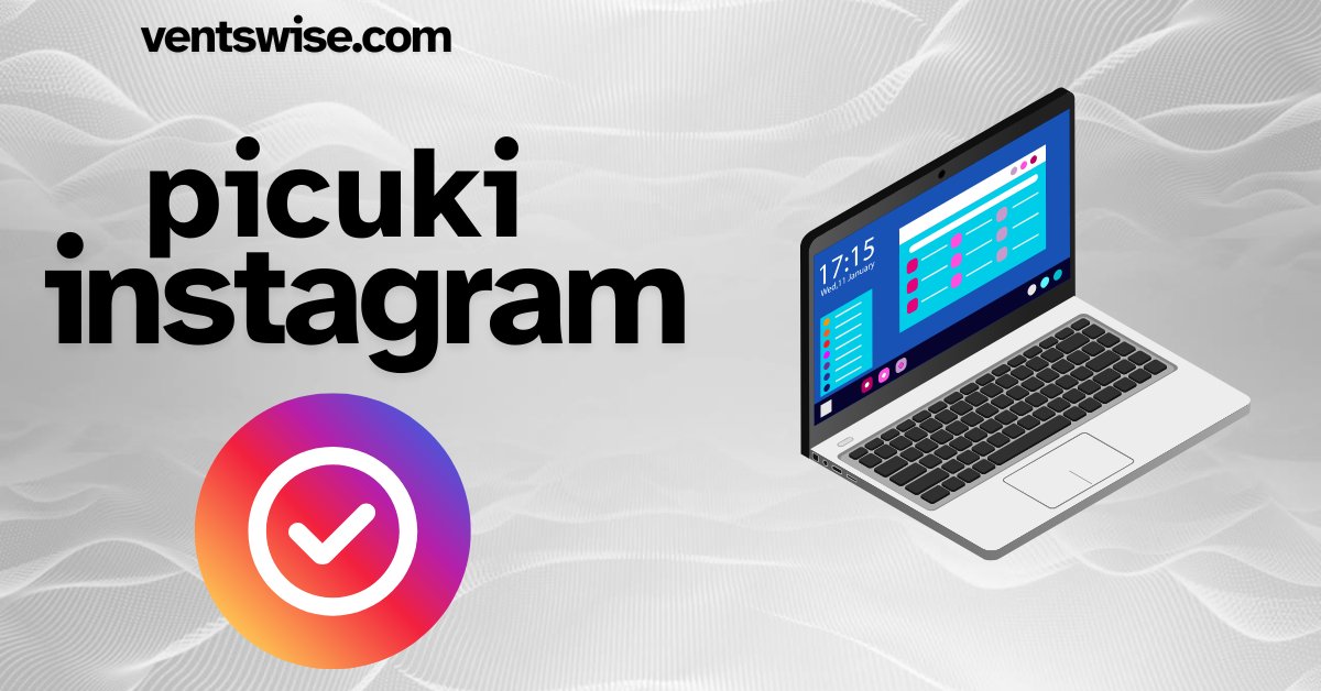 PICUKI INSTAGRAM ANONYMOUSLY VIEWER - VentsWise